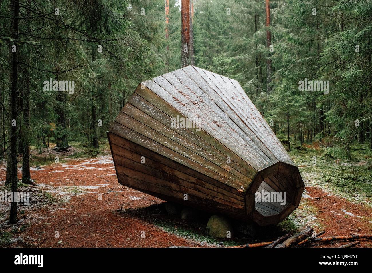 Gigantic wooden megaphones amplify the sounds of the forest in Pähni ...