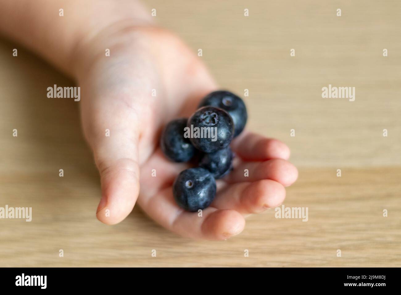 Hand holding blueberries hi-res stock photography and images - Alamy