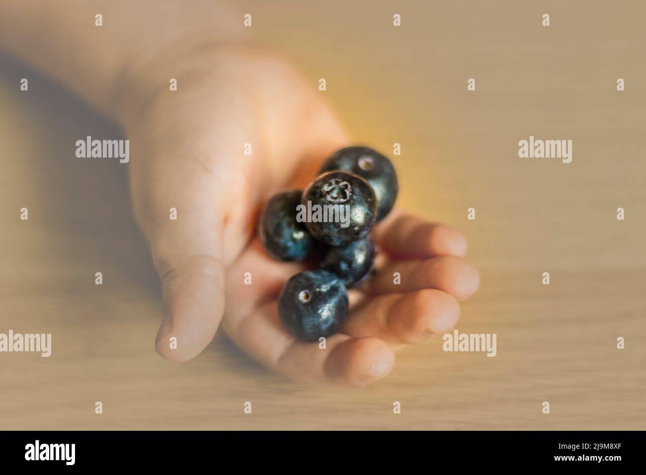 Close up shot of a baby's hand holding blueberries Stock Photo - Alamy