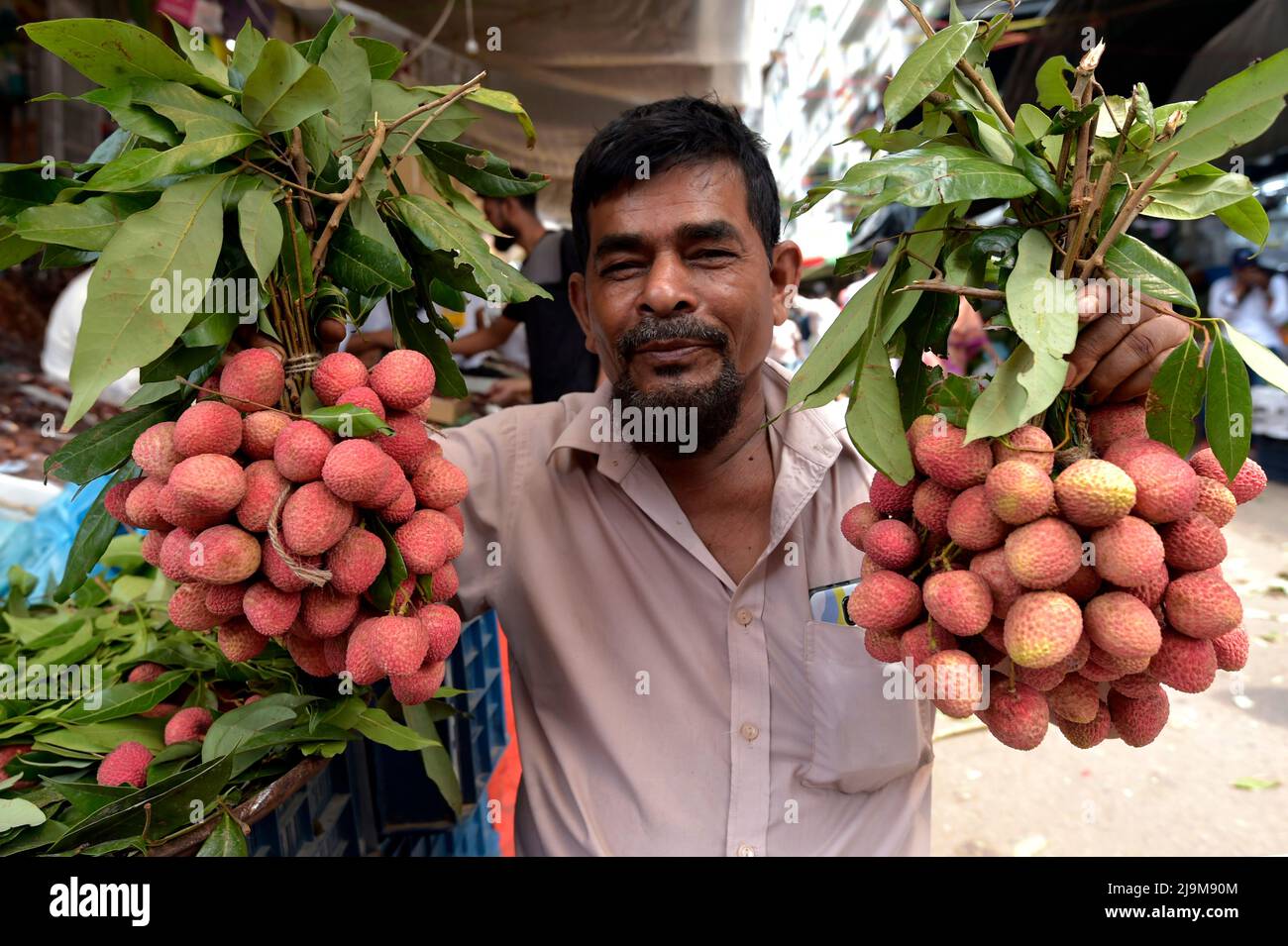 Lychee bangladesh hi-res stock photography and images - Alamy