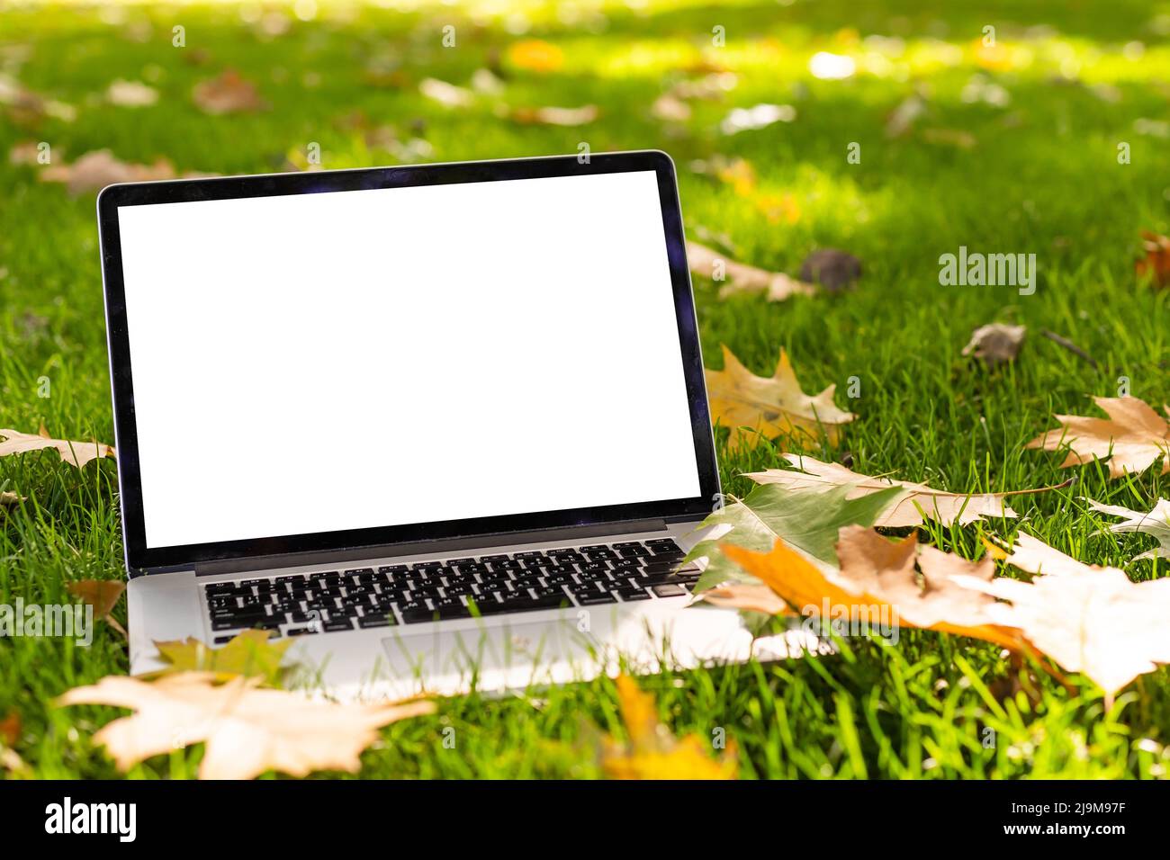 blank screen laptop computer on terrace with beautiful autumn colorful ...