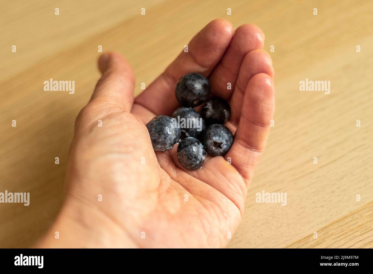 Hand holding blueberries hi-res stock photography and images - Alamy