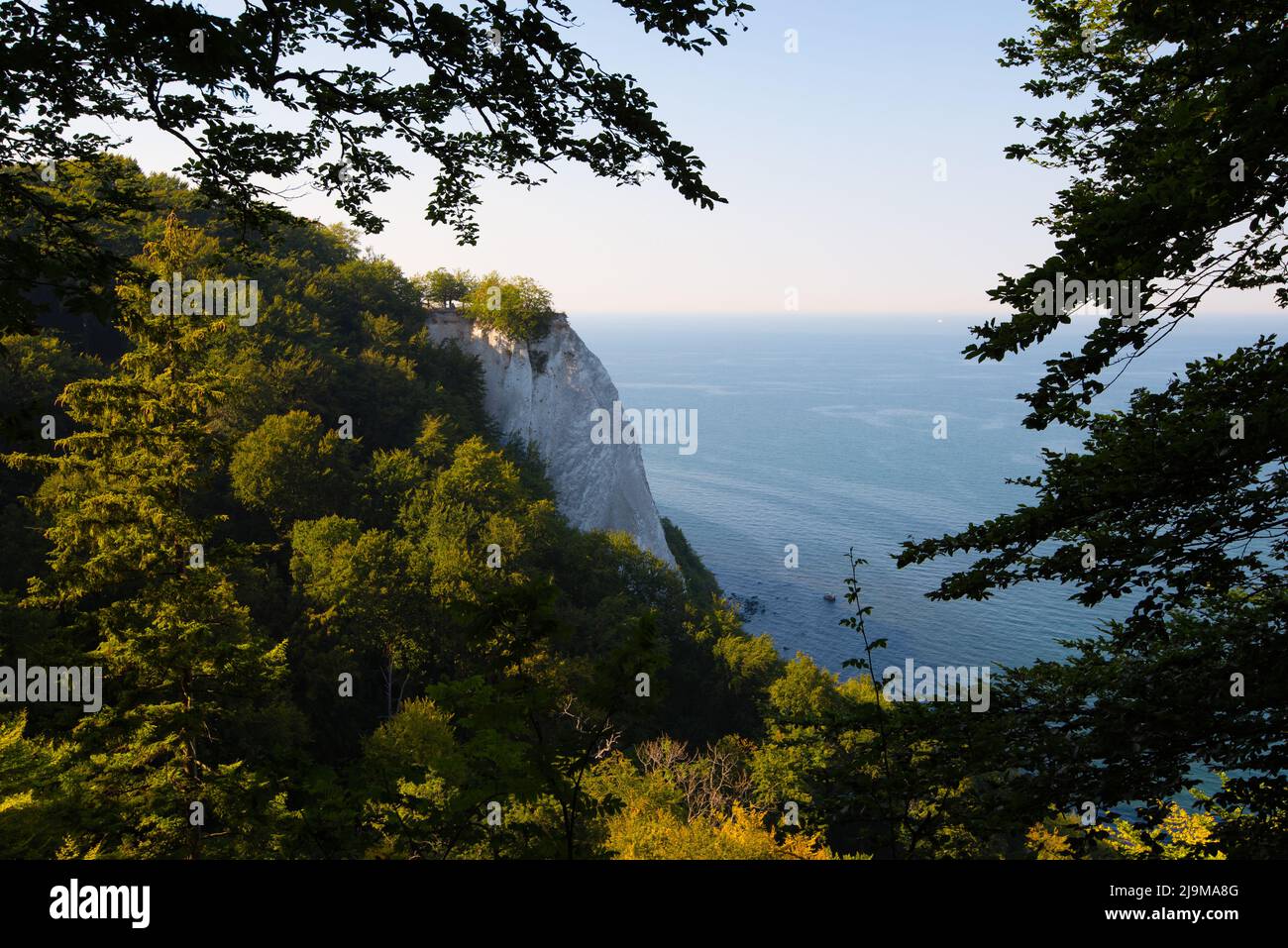 Chalk Cliffs in the National Park Jasmund on Ruegen Stock Photo - Alamy