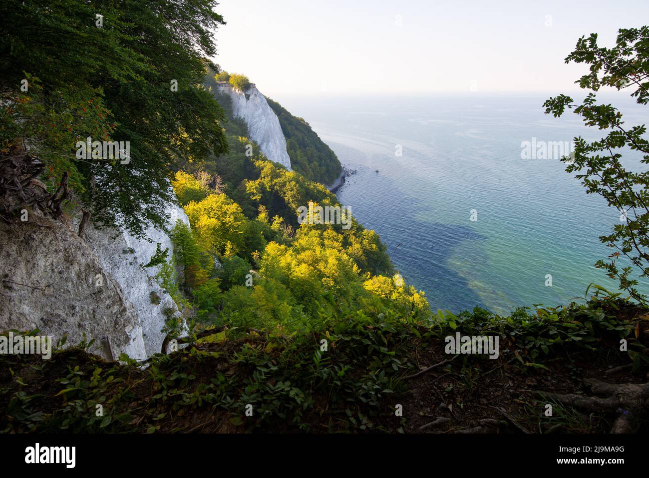 Chalk Cliffs in the National Park Jasmund on Ruegen Stock Photo - Alamy