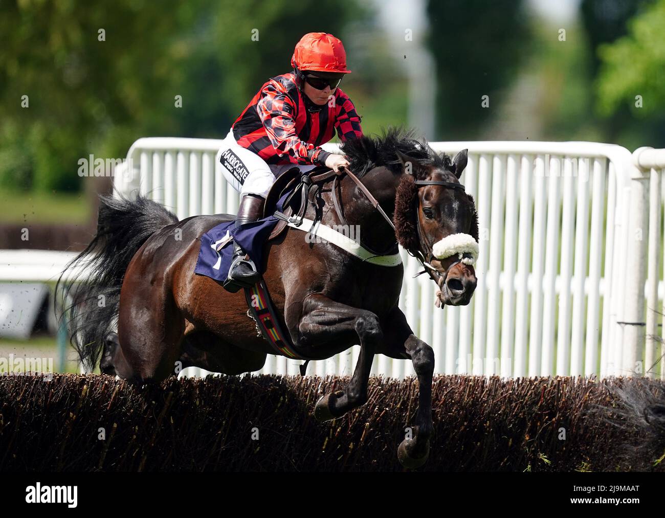 Becky southwell hi-res stock photography and images - Alamy