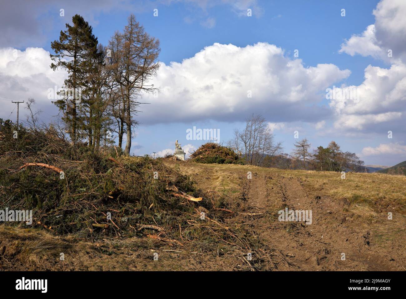 Surrounded by debris from recent winter storms, the statue of James ...