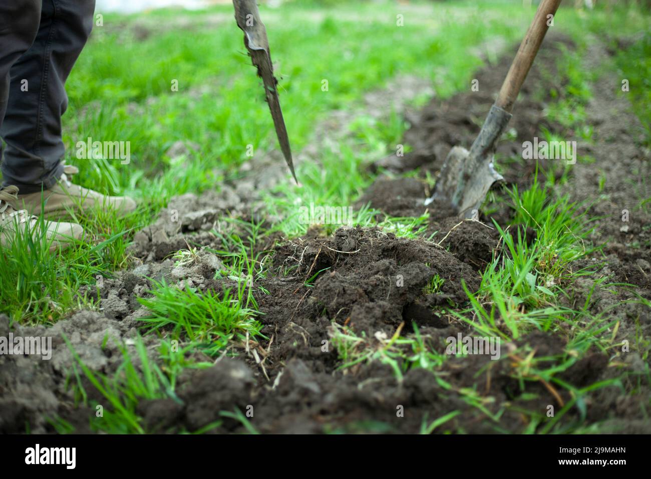 Digging up soil with shovel. Gardener digs ground. Planting. Garden ...