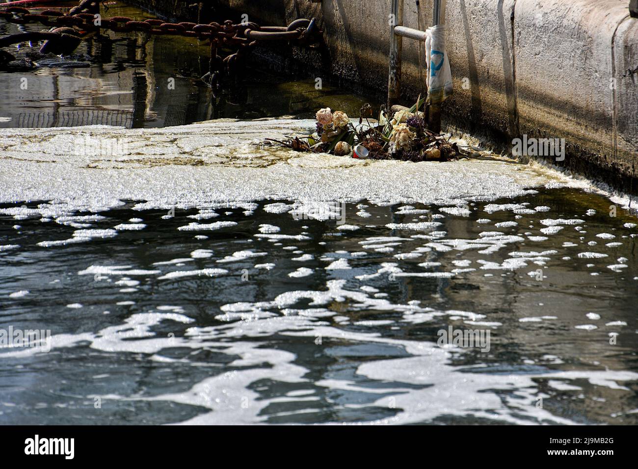 Whitish foam, faded flowers, and a can of Coca-Cola are seen floating ...