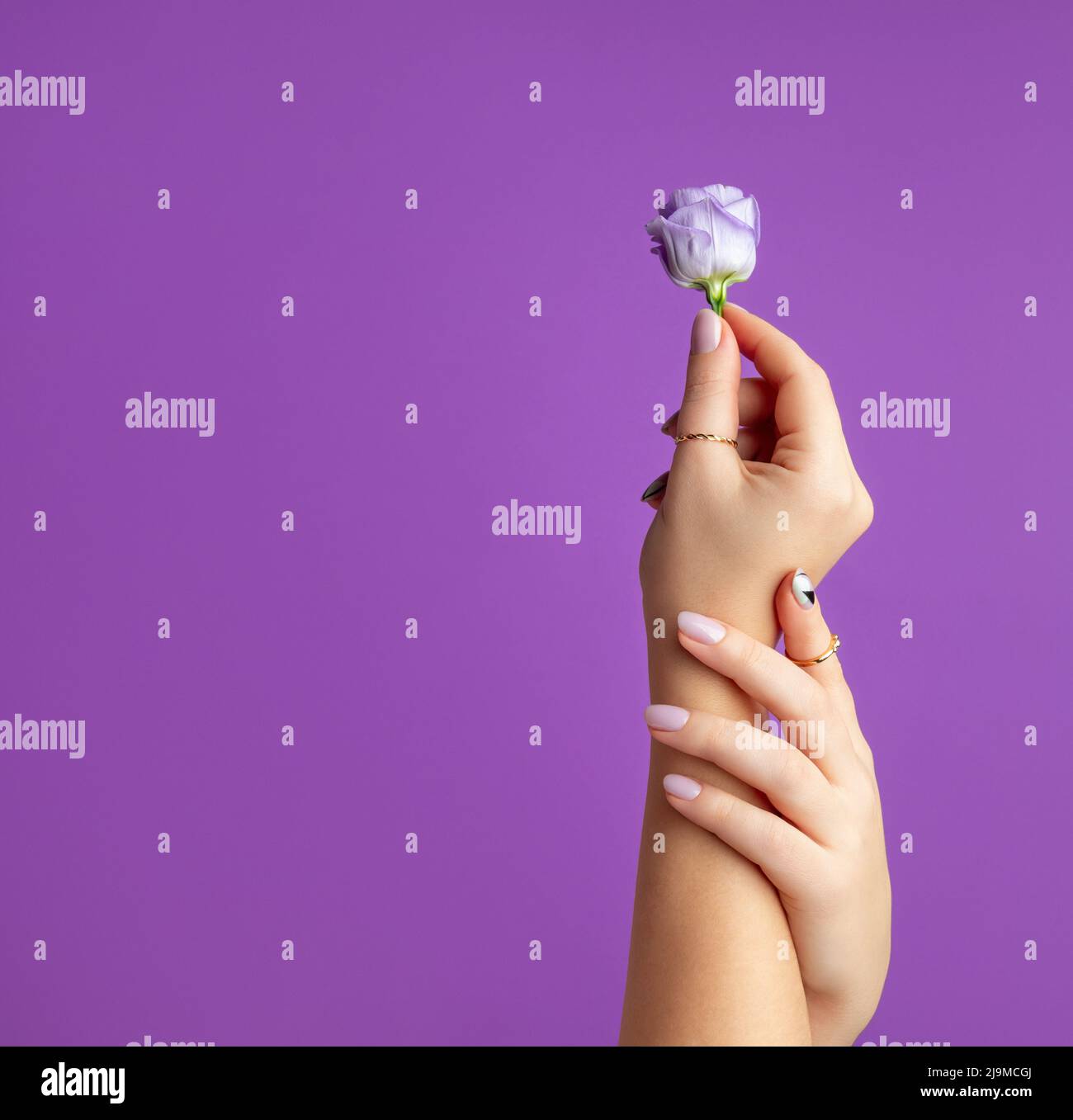 Beautiful womans hand with spring summer design on violet background ...