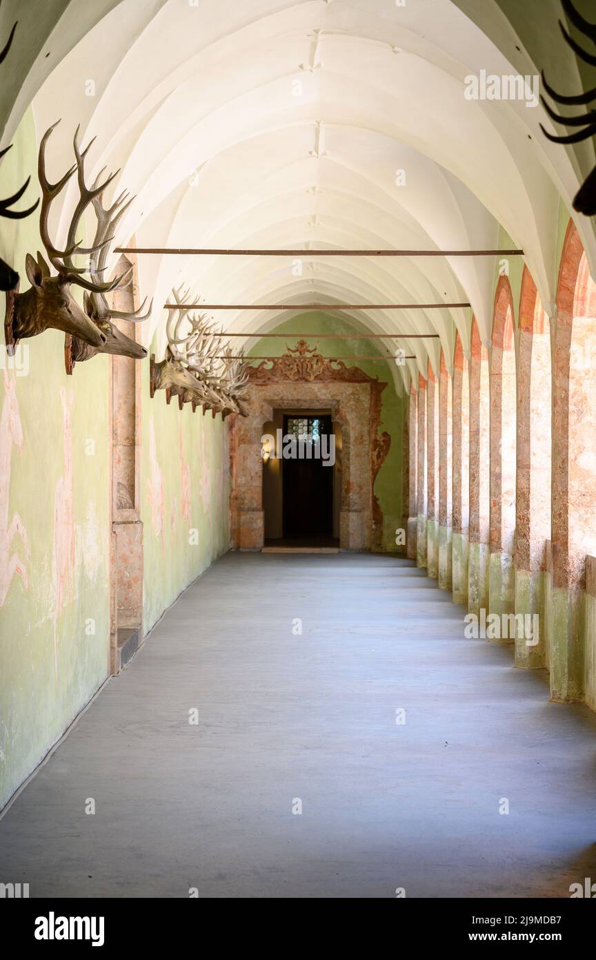 Gothic castle hallway hi-res stock photography and images - Alamy