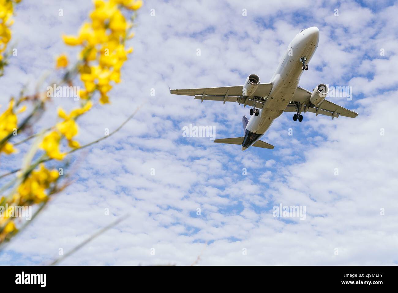 From below of modern aircraft flying against blue sky with white clouds ...