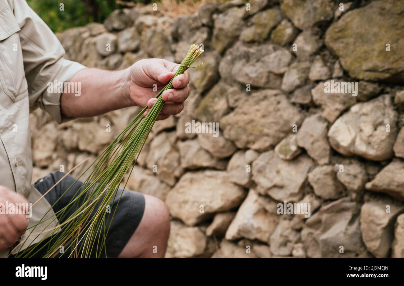 Side view crop mature male artisan in casual clothes weaving basket ...