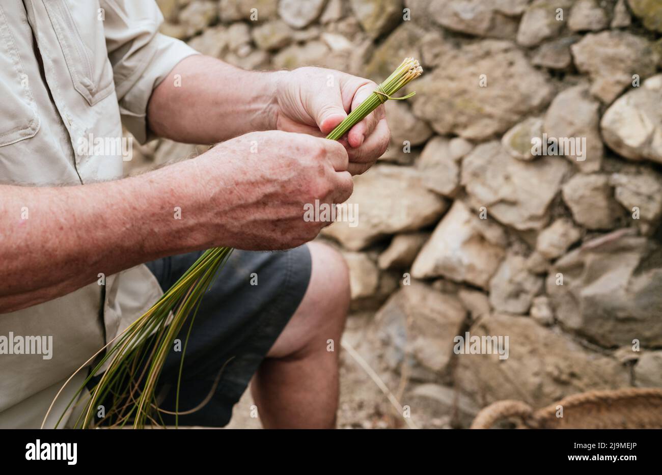 Side view crop mature male artisan in casual clothes weaving basket ...
