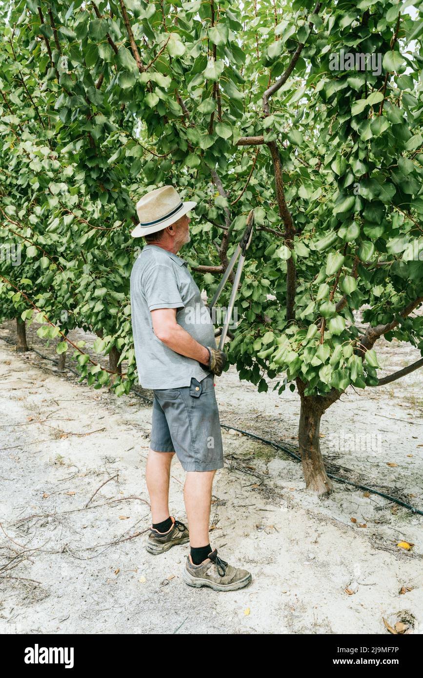 Full body side view elderly man in casual clothes and hat standing and ...