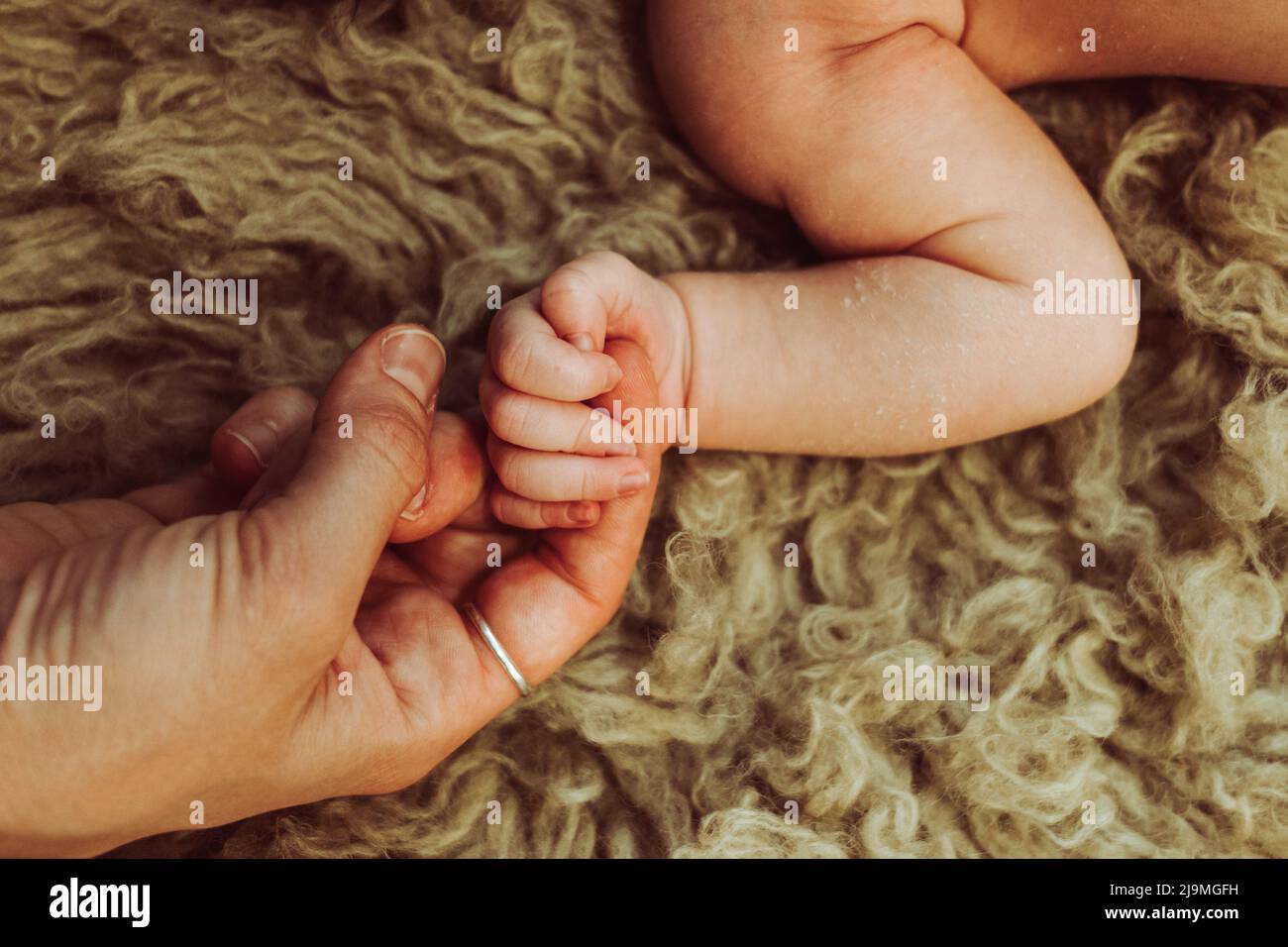 Top view of crop unrecognizable newborn baby holding finger of ...