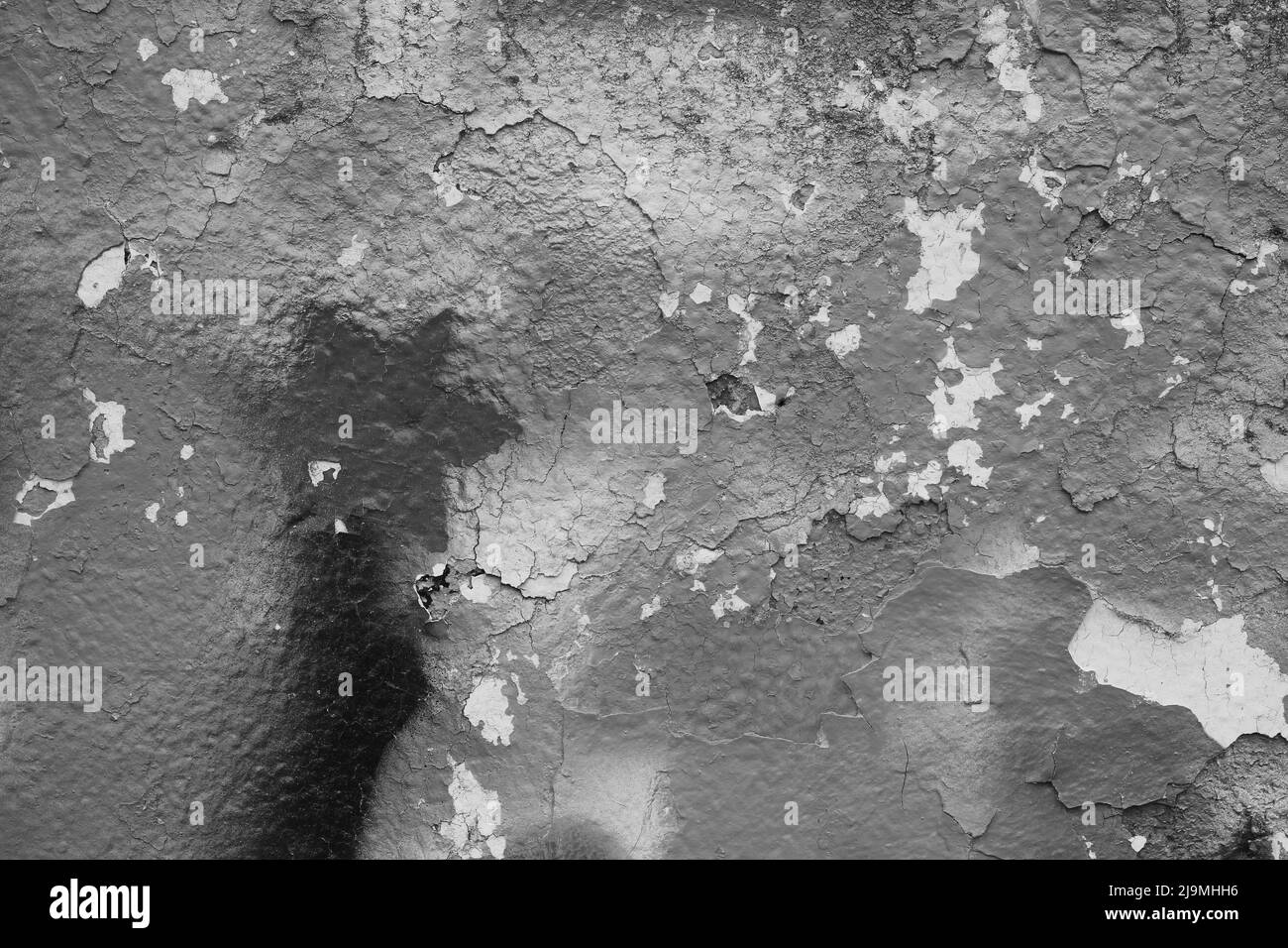 Beautiful hand painted nature art in black and white Stock Photo - Alamy