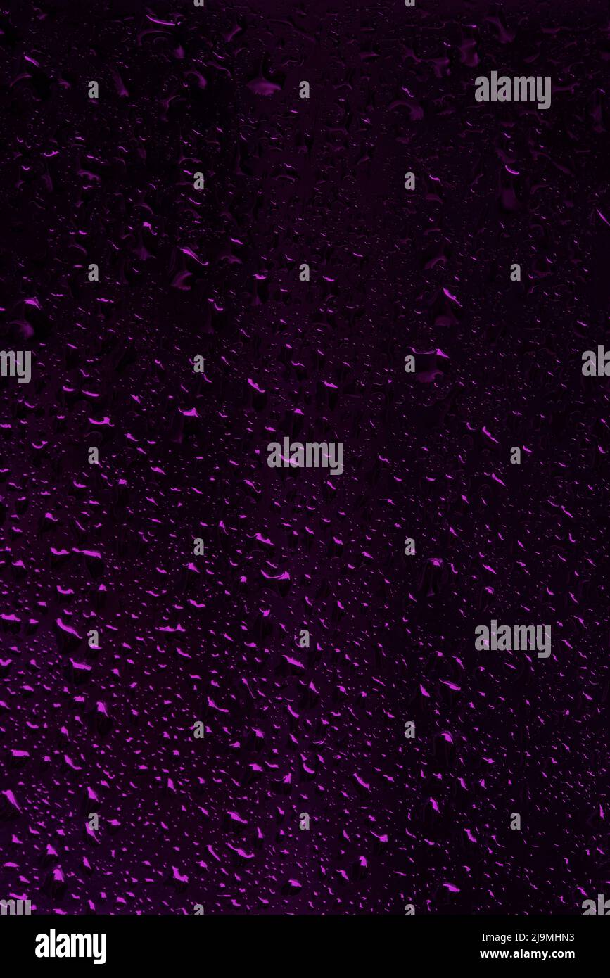 Raindrops on the window. Dark purple toned black and white background ...