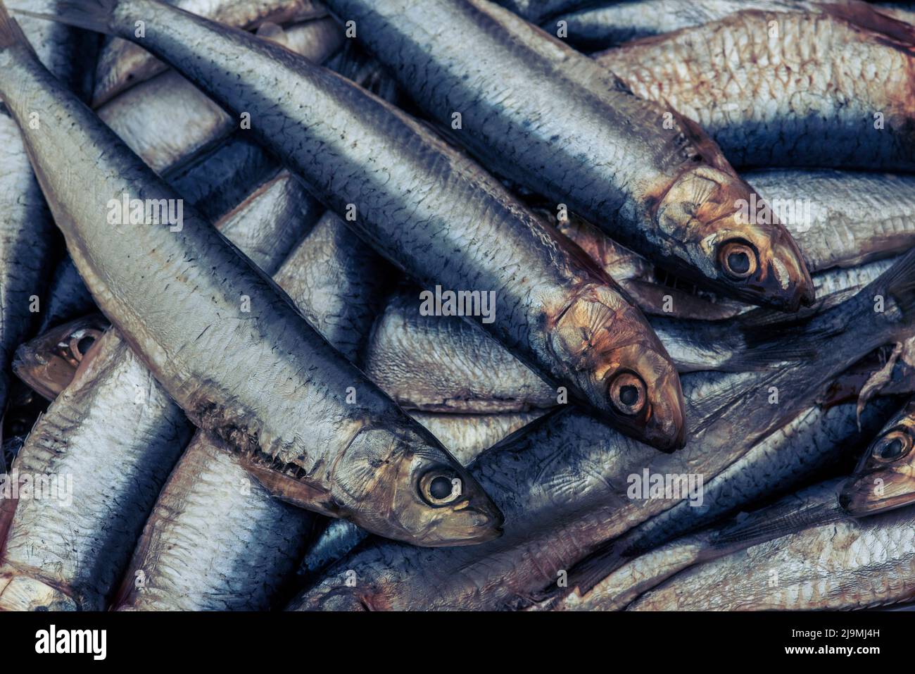 Sardines / pilchards - Sardina pilchardus. Home cooking / fishmongers ...