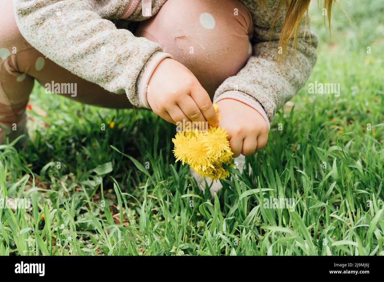 Cropped curious cute little girl in casual clothes sitting on haunches ...