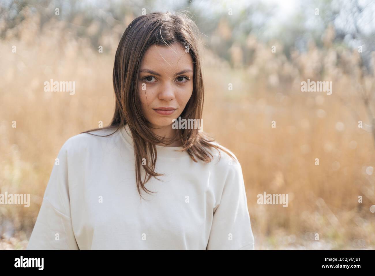 Countryside model hi-res stock photography and images - Alamy