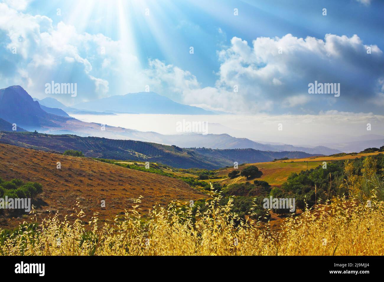 Low stratus clouds hi-res stock photography and images - Alamy