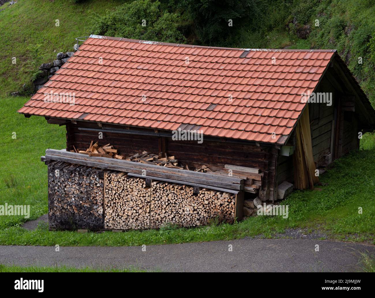 Large logs of wood product of the timber industry, forestry piled up ...