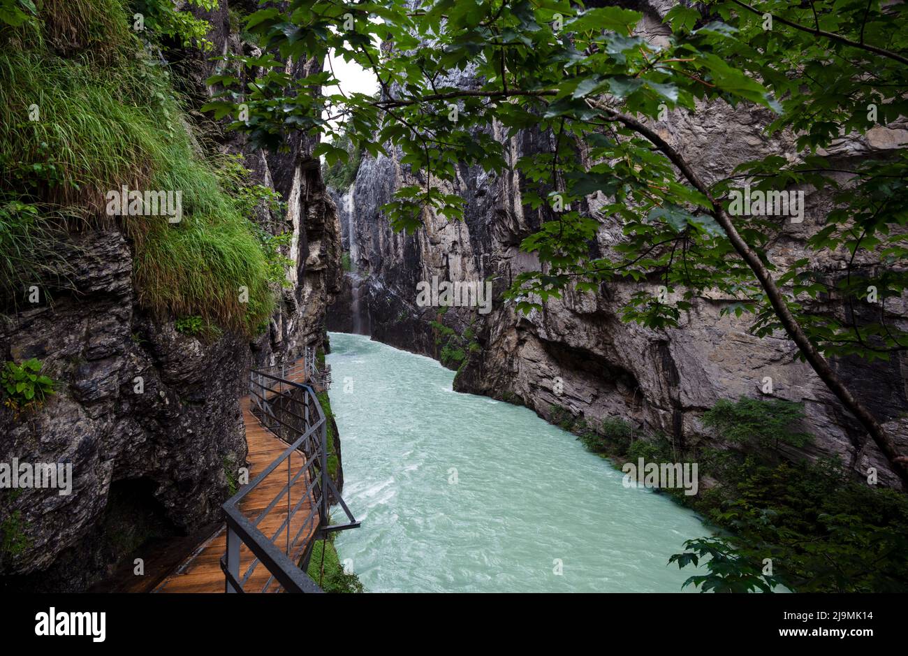 Aare Gorge, blue alpine river between narrow rocky cliffs covered with ...