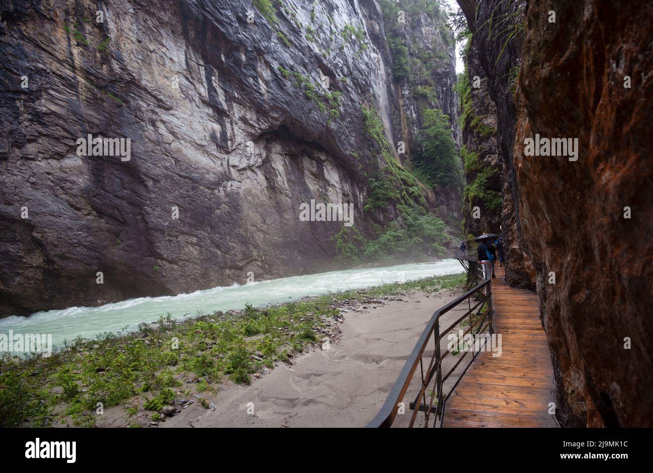 Aare Gorge, blue alpine river between narrow rocky cliffs covered with ...