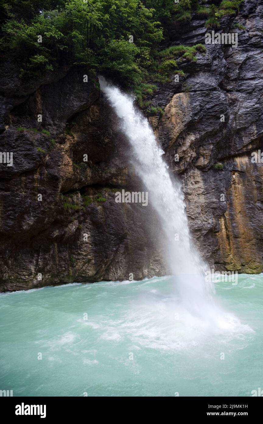 Aare Gorge, blue alpine river between narrow rocky cliffs covered with ...