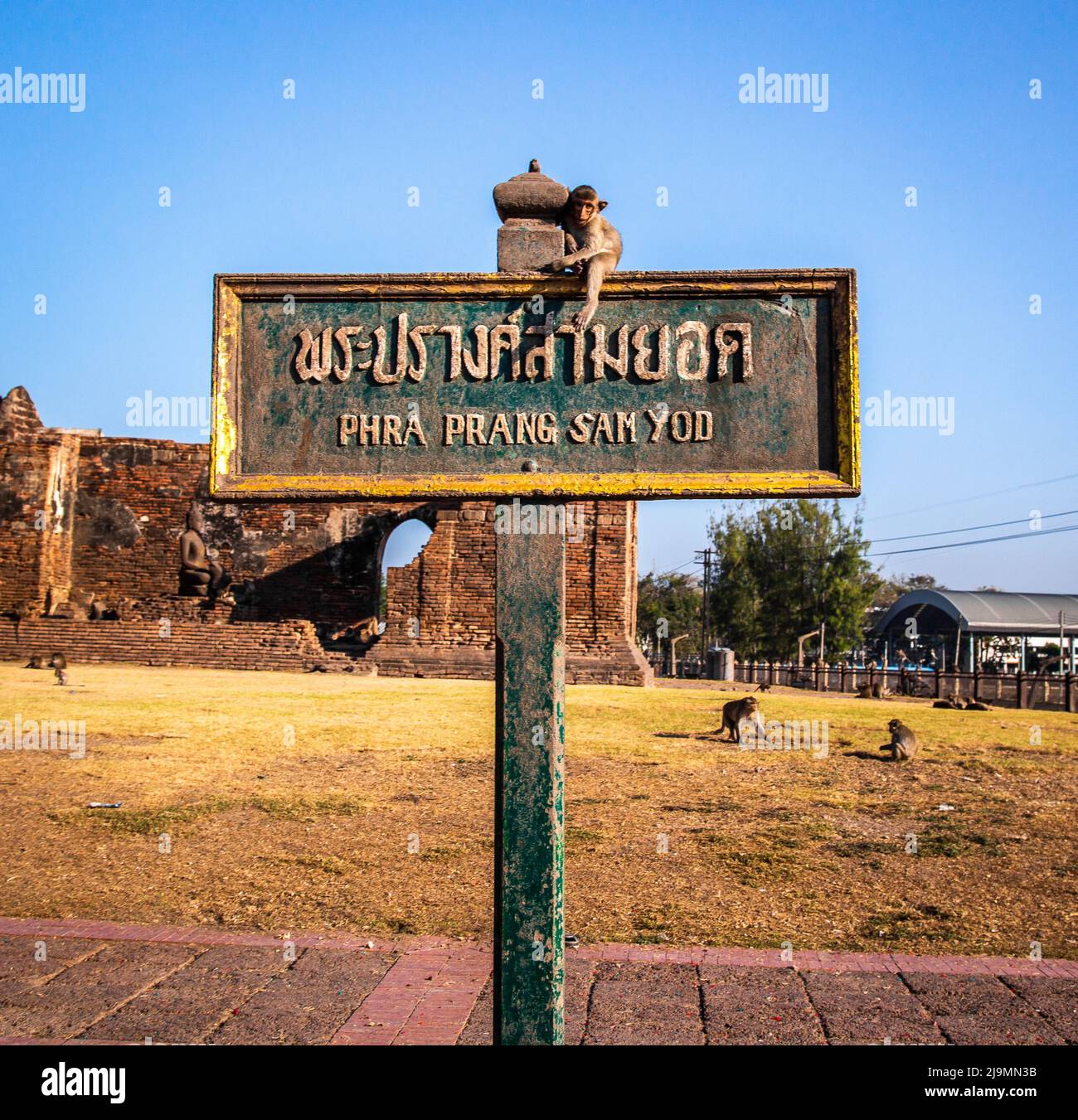 Old prang in phra prang sam yot hi-res stock photography and images - Alamy