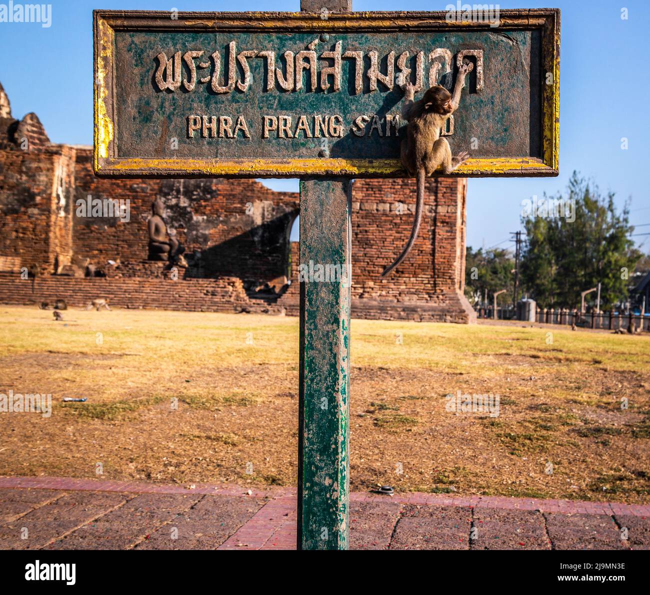 Pra Prang Sam Yod or Phra Prang Sam Yot ruin temple with monkeys, in ...