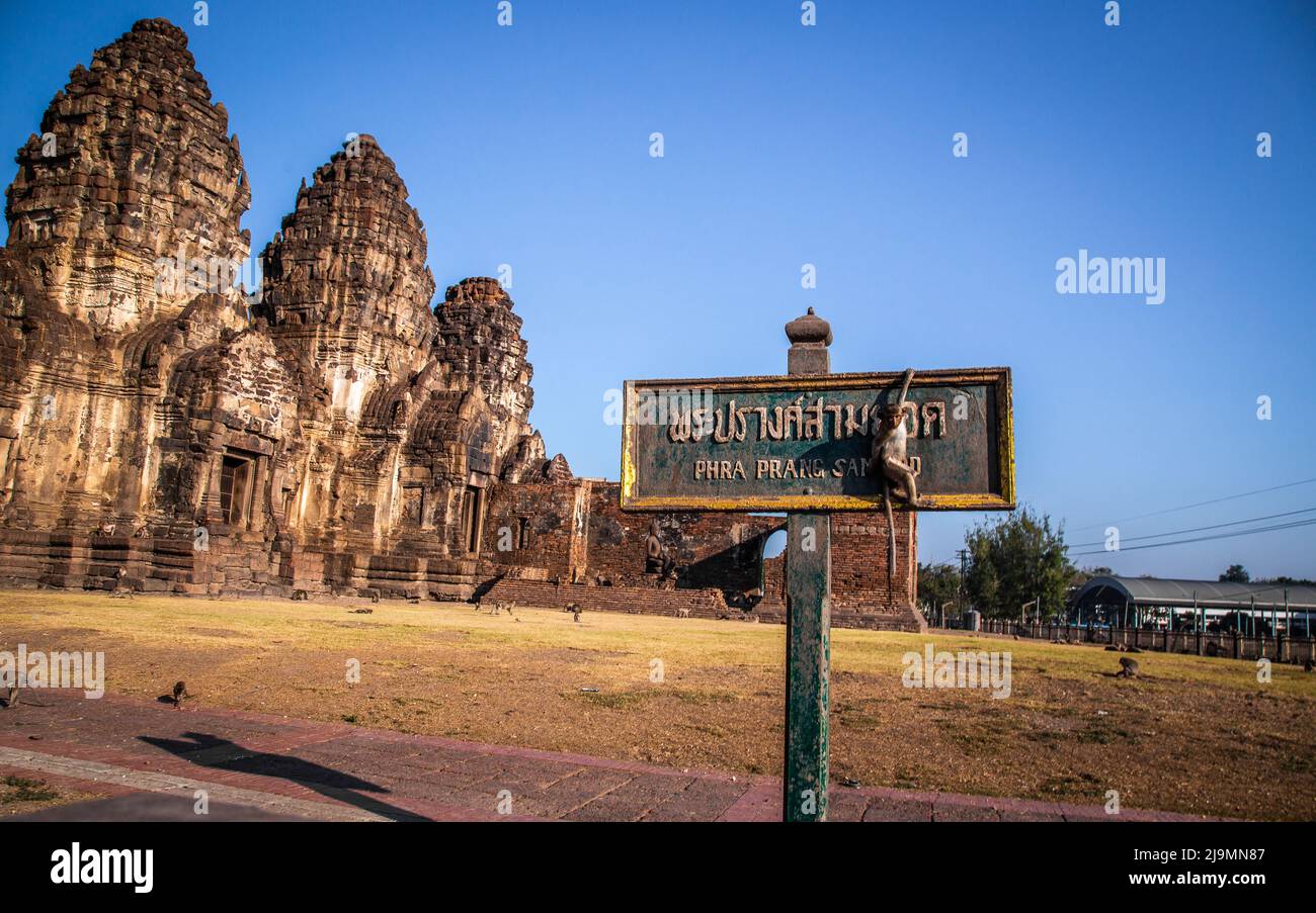 Pra Prang Sam Yod or Phra Prang Sam Yot ruin temple with monkeys, in ...