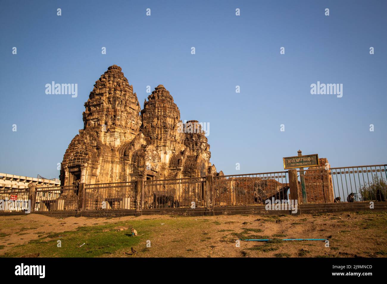 Pra Prang Sam Yod or Phra Prang Sam Yot ruin temple with monkeys, in ...