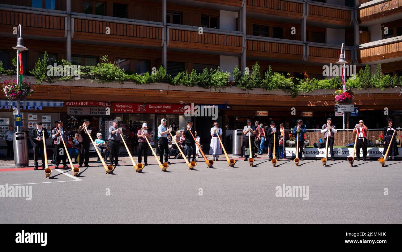Swiss musicians play the alphorn, a traditional musical instrument ...