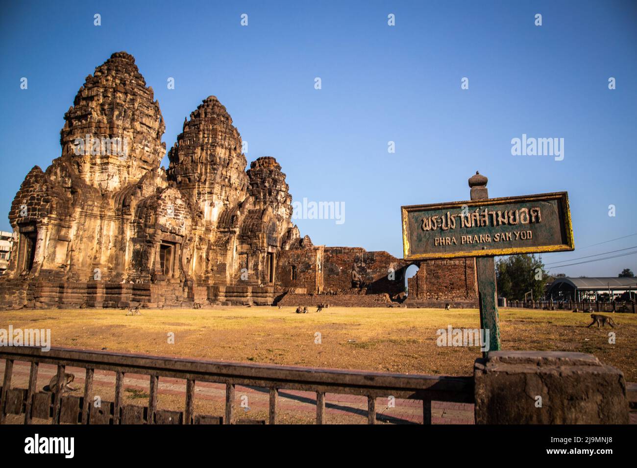 Pra Prang Sam Yod or Phra Prang Sam Yot ruin temple with monkeys, in ...