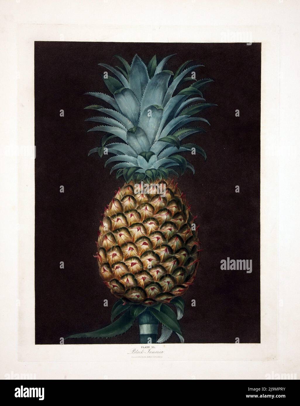 George brookshaw art hi-res stock photography and images - Alamy