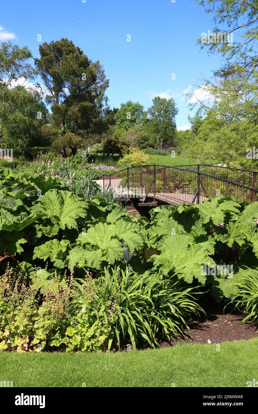 Bridge over Lower Pond, RHS Hyde Hall gardens, near Chelmsford, Essex ...