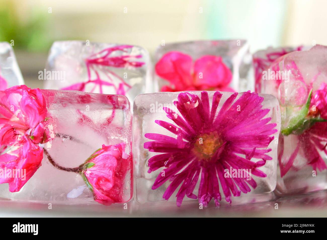 Cooling cocktails hi-res stock photography and images - Alamy