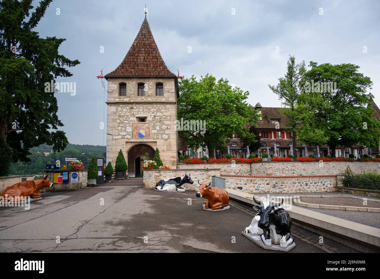 View of the entrance of the Rhine falls a waterfall located in ...