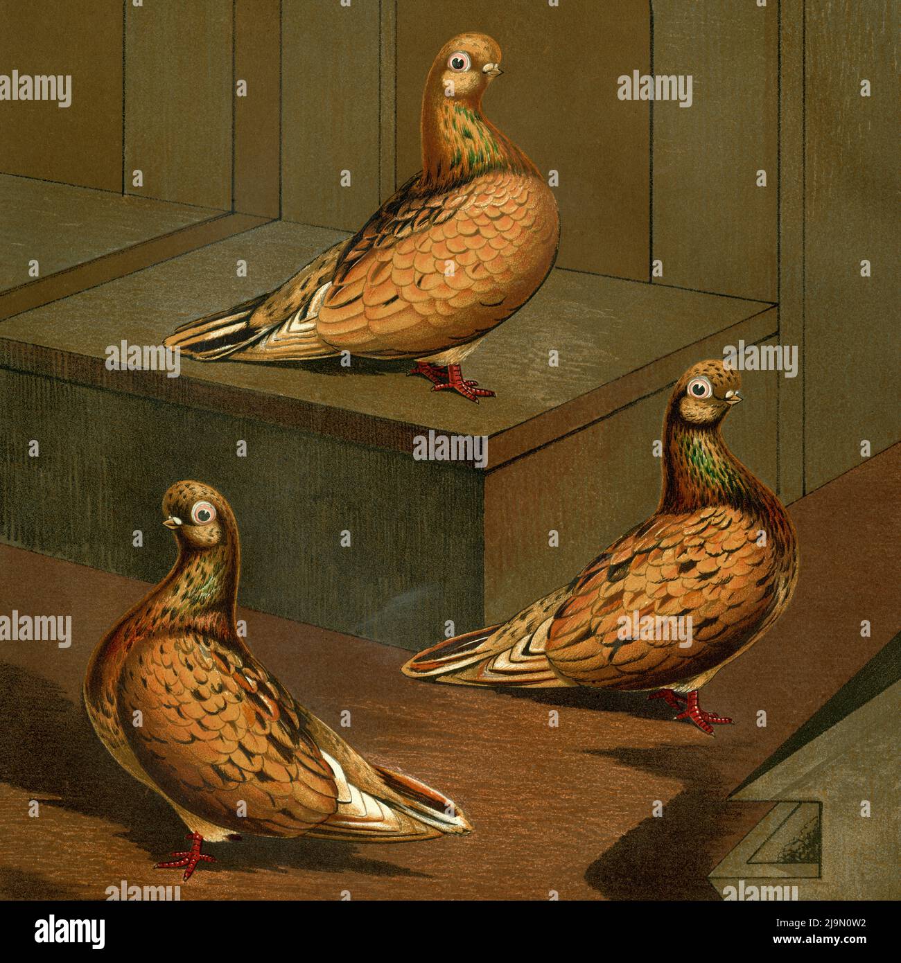 Three times of her life: square format detail from high resolution scan ...