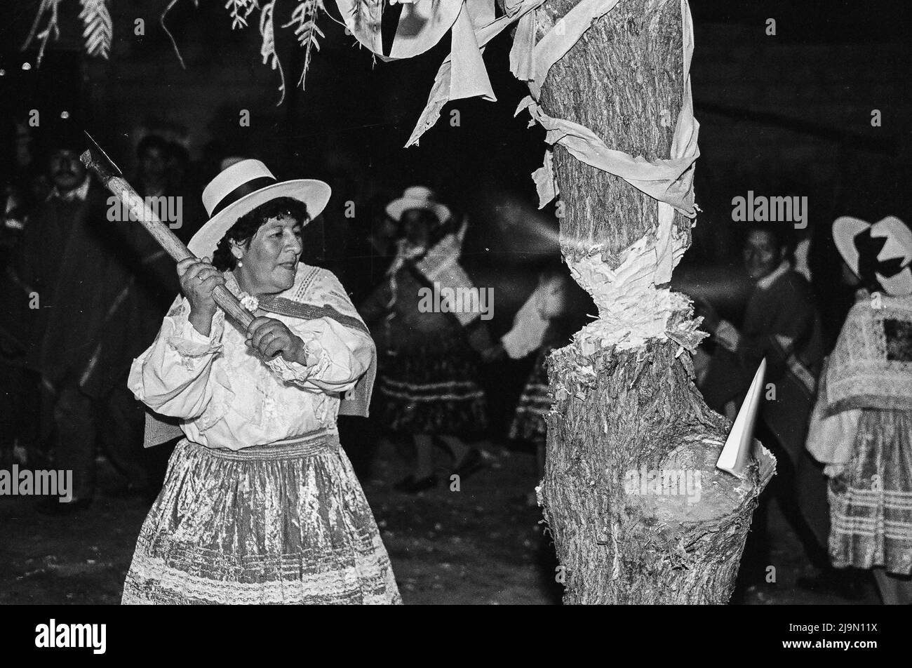 Yunsa hi-res stock photography and images - Alamy