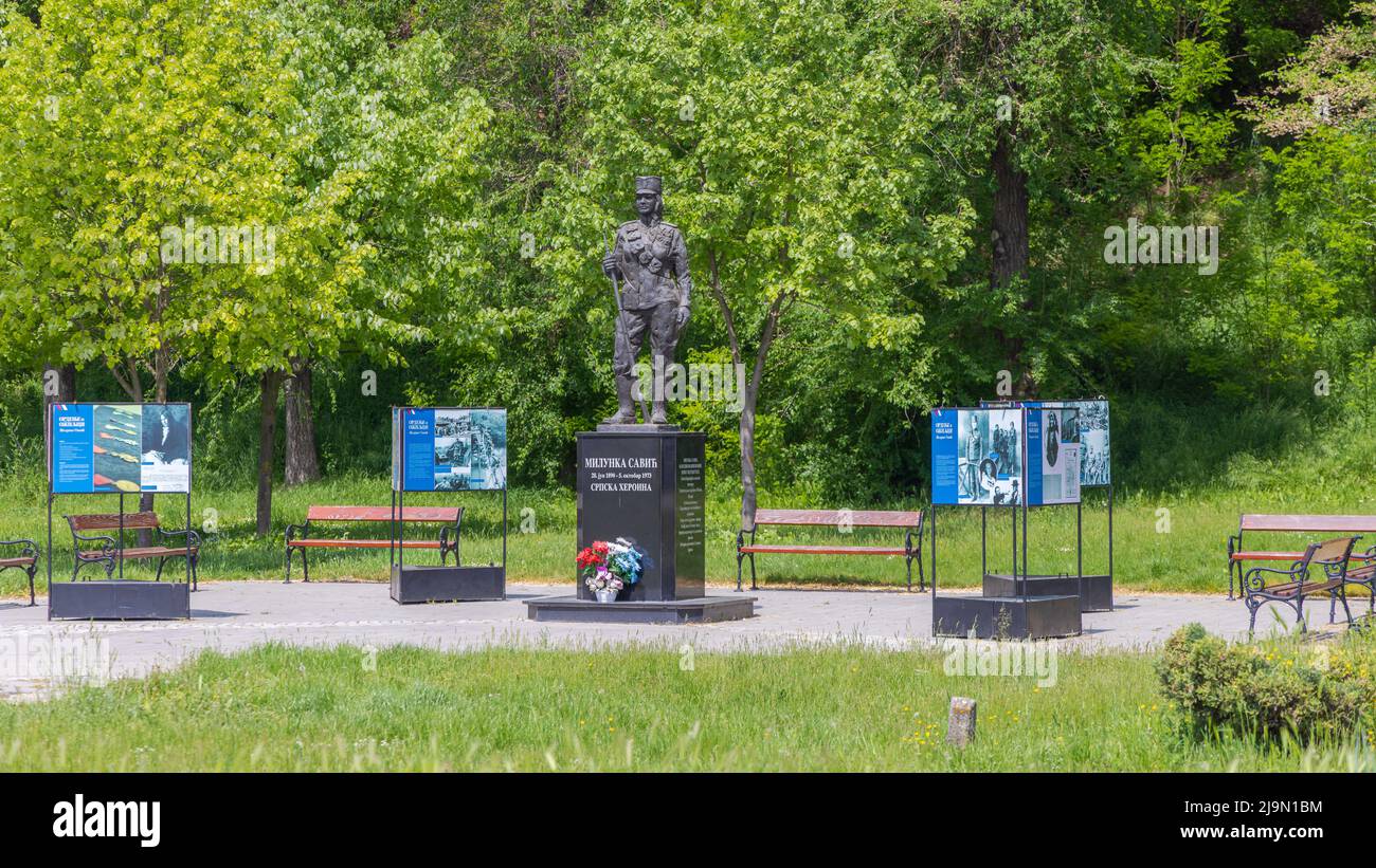 Indjija, Serbia - May 08, 2022: Bronze Statue of Milunka Savic War ...