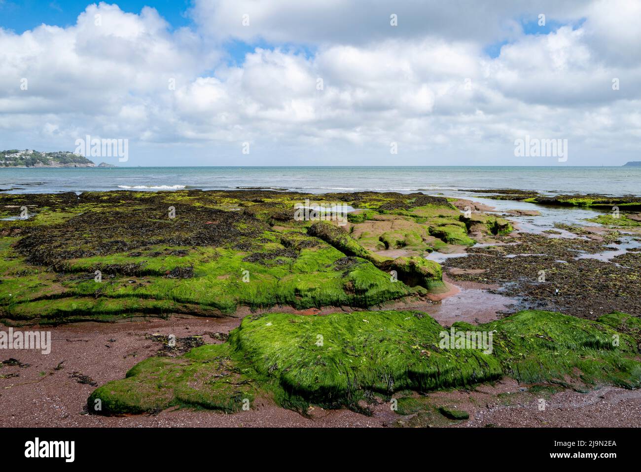 Hollicombe beach hi-res stock photography and images - Alamy