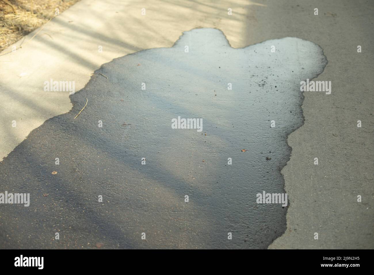 Puddle on asphalt. Wet road. Spilled water on pedestrian zone. Big ...