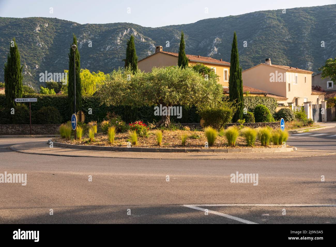 Roundabout tree hi-res stock photography and images - Alamy