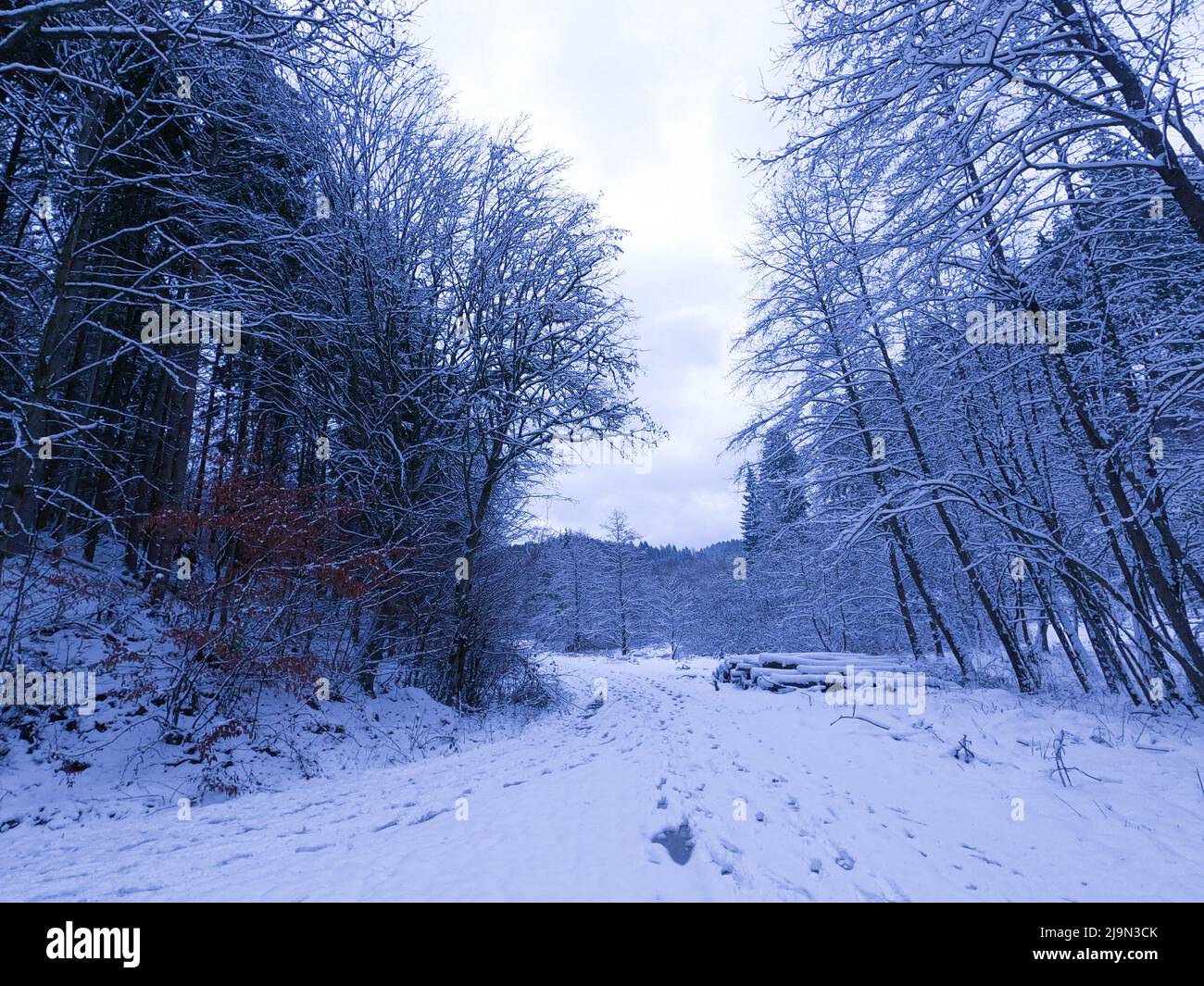 Winter with lots of snow in Bavaria is beautiful again every year Stock ...