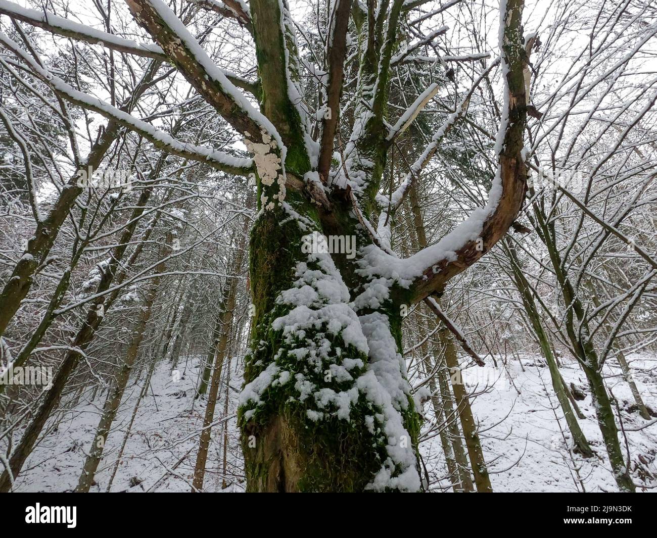 Winter with lots of snow in Bavaria is beautiful again every year Stock ...
