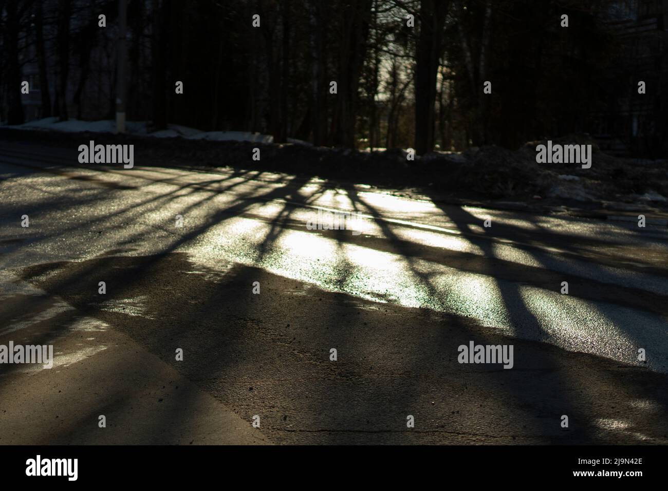 Shade from trees hi-res stock photography and images - Alamy