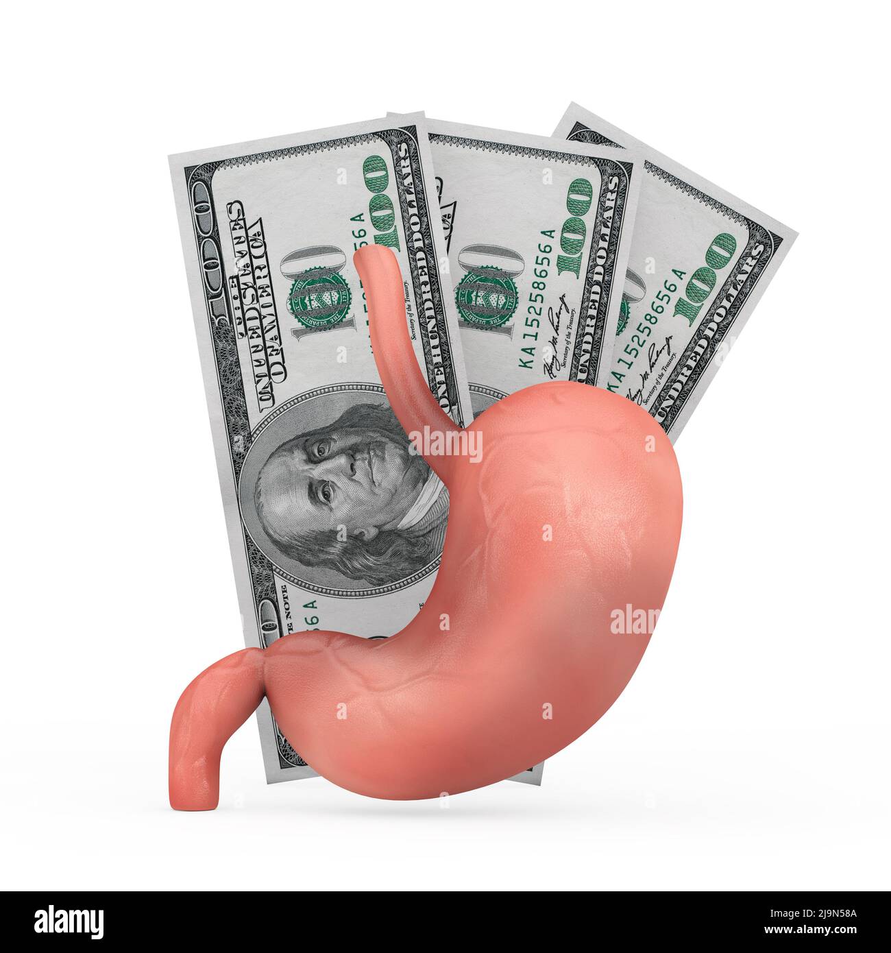 Human Stomach Anatomy Internal Organ in Front of Dollar Money Bills on ...