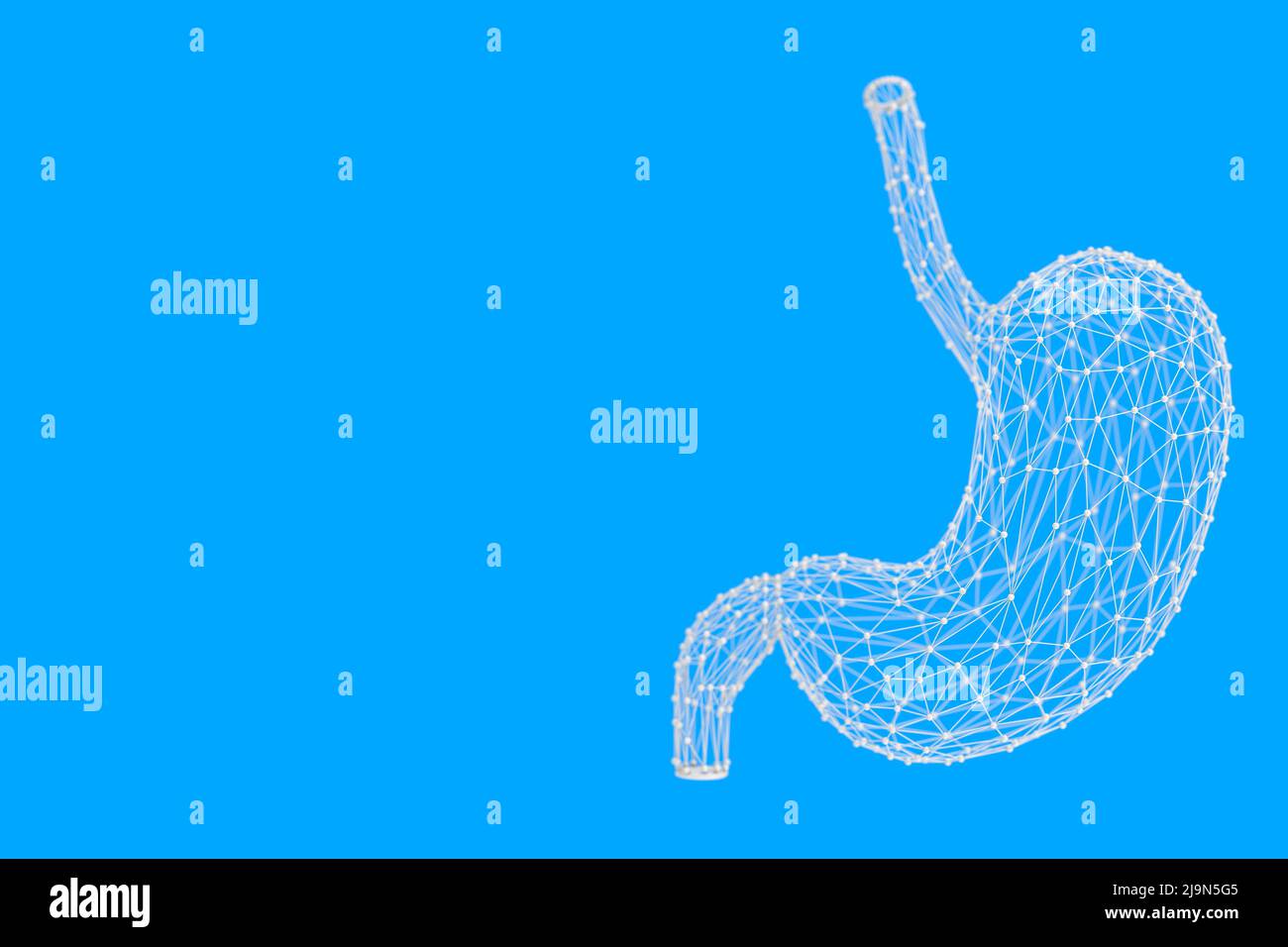 Low Poly Wireframe Style Human Stomach Anatomy Internal Organ on a blue ...
